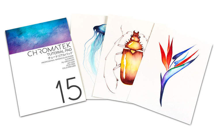 BEGINNERS COURSE VOL.01 – Chromatek